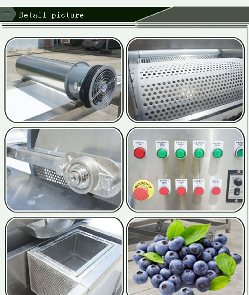Automatic blueberry fruit cleaning and grading production line machine ...