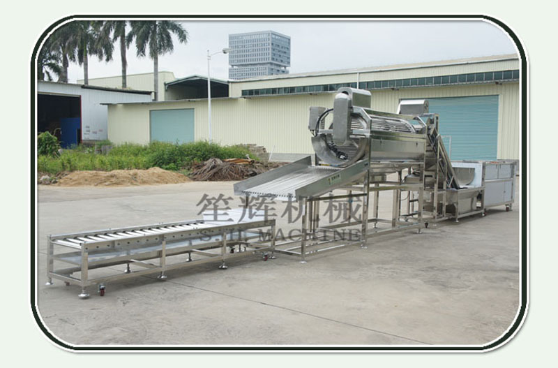 Automatic fish scaler fish sorting machine fish conveyor dace fish ...