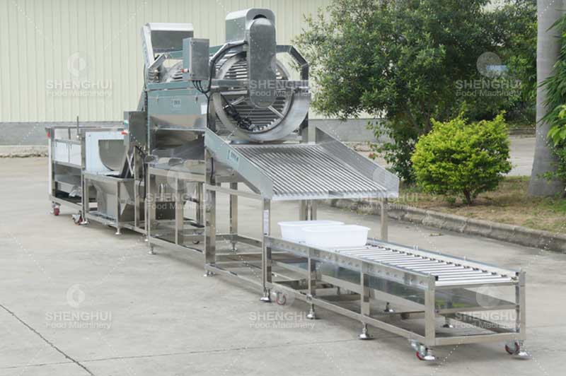 Commercial dace fish processing line machine canned tilapia processing ...