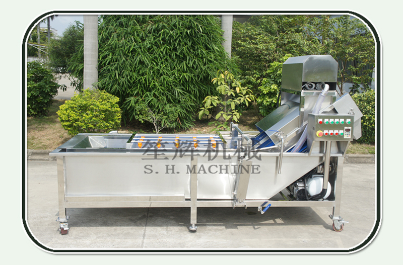Whole network chain bubble vegetable cleaning machine ozone fruit ...