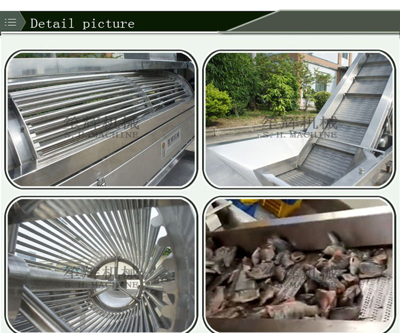 Automatic fish scaler fish sorting machine fish conveyor dace fish ...