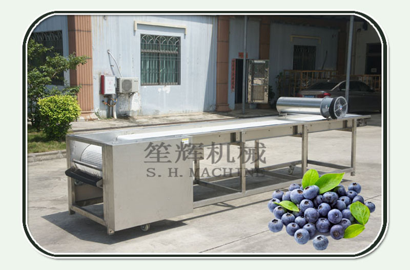 Automatic blueberry fruit cleaning and grading production line machine ...