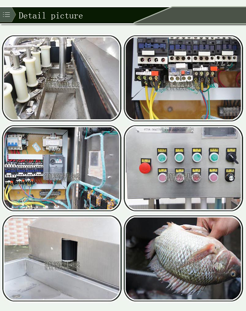 Fish machinery - Buy fish processing line, fish production, cleaner ...