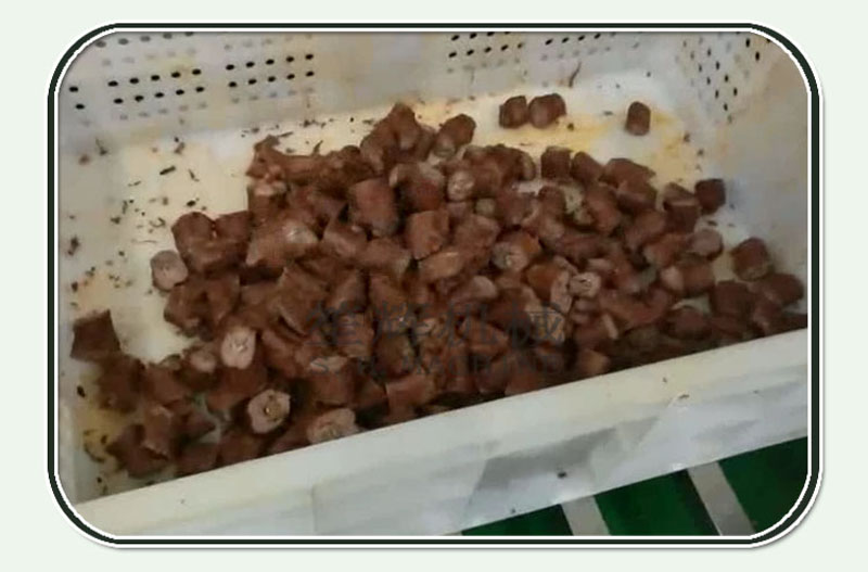 Duck neck cutting machine - Buy Duck neck cutter, Chicken Neck Cutter ...