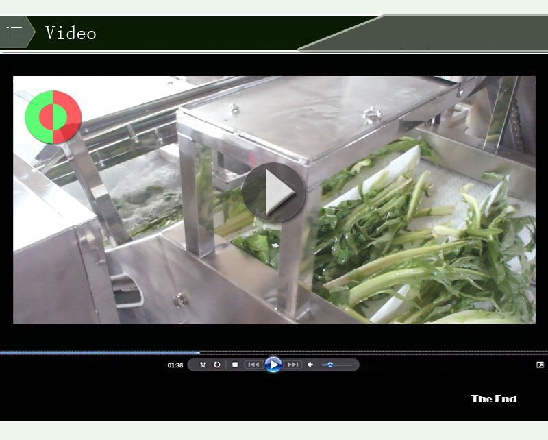 Automatic fruit and vegetable washer - Buy automatic fruit and ...