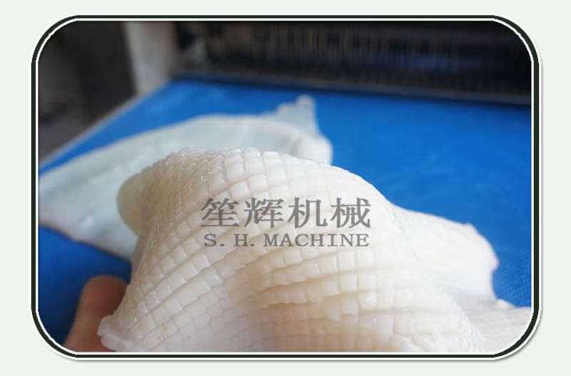 Commercial Squid cutting machine - Buy Squid cut flower machine, Squid ...